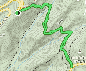 Makiki Valley Trail: 1.208 foto's - Oahu, Hawaii | AllTrails