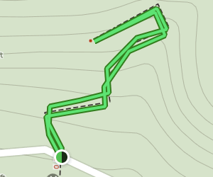 Myrtle Tree Trail: 36 Reviews, Map - Oregon | AllTrails