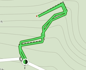 Myrtle Tree Trail, Oregon - 42 Reviews, Map | AllTrails