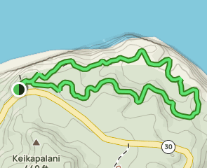 Ohai Trail Loop, Maui, Hawaii - 725 Reviews, Map | AllTrails