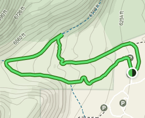 Jones Creek Loop, Nevada - 955 Reviews, Map | AllTrails