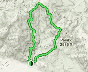 Pylon Peak Loop Track, Waikato, New Zealand - 53 Reviews, Map | AllTrails