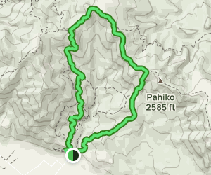 Pylon Peak Loop Track: 47 Reviews, Map - Waikato, New Zealand | AllTrails