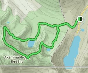 Akamina Pass, Wall Lake, and Forum Lake Trail: 282 Reviews, Map ...