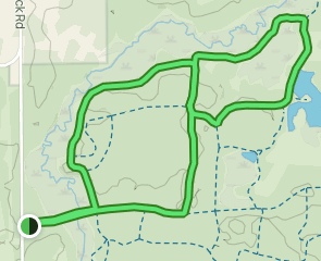 Rose Lake Loop, Michigan - 413 Reviews, Map | AllTrails