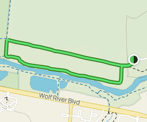 Wolf River Blue and Yellow Trail Loop: 179 Reviews, Map - Tennessee ...