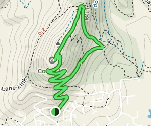 Conical Hill Loop Track: 106 foto - Canterbury, Nuova Zelanda | AllTrails
