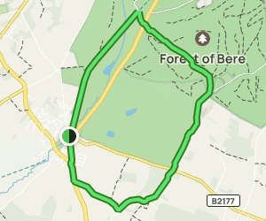 Wickham and 100 Acre Woods Circular: 154 Reviews, Map - Hampshire ...