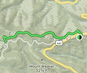 Newfound Gap to Indian Gap: 191 Reviews, Map - Tennessee | AllTrails