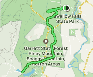 AllTrails | Herrington Manor and Swallow Falls Trail: 21 Reviews, Map ...