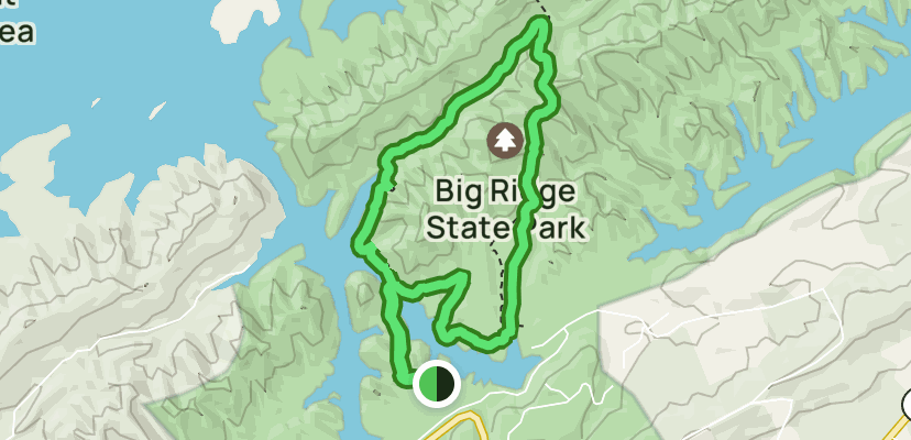 Are Dogs Allowed In Big Ridge State Park