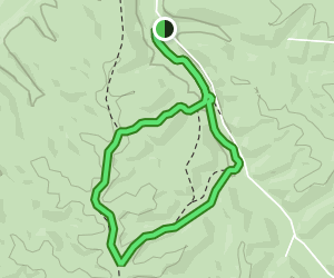 Kaintuck Trail: Oak Leaf Section: 119 Reviews, Map - Missouri | AllTrails