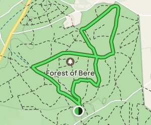 Forest of Bere West Walk Circular: 107 Reviews, Map - Hampshire ...