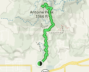 Antoine Peak via Trentwood Trailhead: 169 Reviews, Map - Washington ...