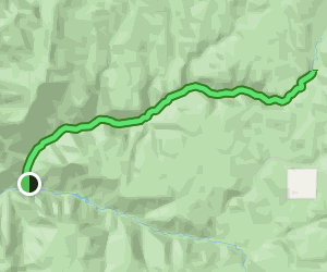Blacksmith Canyon Left Hand Fork Trail: 37 Reviews, Map - Utah | AllTrails