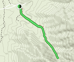 Aztec Cave Trail: 1402 Reviews, Map - Texas | AllTrails