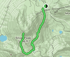 Silver Peak Trail: 1.434 fotos - Washington | AllTrails