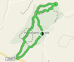 Knockbarron Wood - Eco Walk: 24 Reviews, Map - County Offaly, Ireland ...
