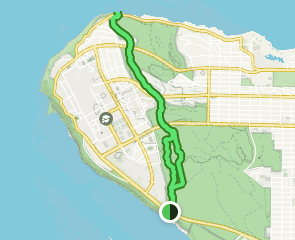 Sword Fern Trail - Salish Trail - Iron Knee Trail, British Columbia ...