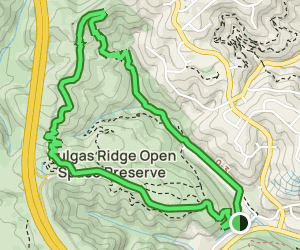 Dusky-Footed Woodrat and Cordilleras Trails - California | AllTrails