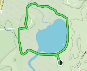Tamarack Loop Trail, Wisconsin - 255 Reviews, Map | AllTrails
