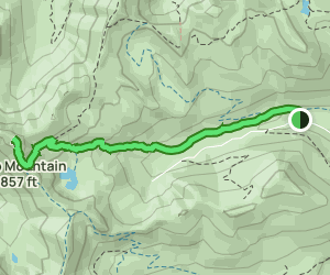 Thorp Mountain Trail: 158 Reviews, Map - Washington | AllTrails