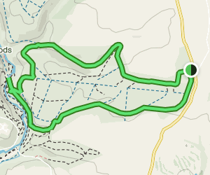Plymbridge Woods: 35 Fotos - Devon, England | AllTrails