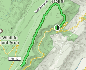 Spruce Knob via Huckleberry Trail, West Virginia - 380 Reviews, Map ...