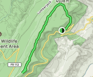 Spruce Knob via Huckleberry Trail: 352 Reviews, Map - West Virginia ...