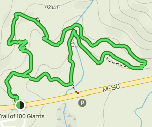AllTrails | Trail of 100 Giants: 656 Reviews, Map - California