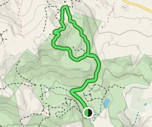 Moose Mountains Loop: 91 Reviews, Map - New Hampshire | AllTrails