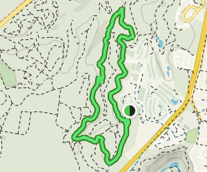 Barden Ridge Bush Track: 290 foto - Nuovo Galles del Sud, Australia ...