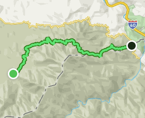 Cosby Campground to Davenport Gap: 19 Reviews, Map - Tennessee | AllTrails