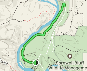 Widowmaker Trail, Georgia - 153 Reviews, Map | AllTrails