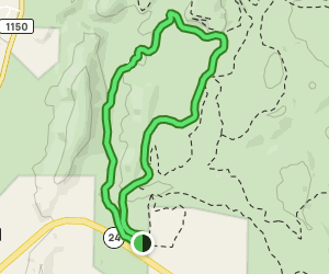 Uwharrie Trail: 297 Reviews, Map - North Carolina | AllTrails
