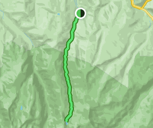 Turquoise Lakes Trail: 227 Reviews, Map - Colorado | AllTrails