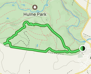 Hulne Park Circular, Northumberland, England - 18 Reviews, Map | AllTrails