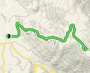 Volcan Mountain Trail, California - 3,664 Reviews, Map | AllTrails