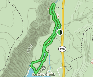 Koosah and Sahalie Falls Trail: 1441 Reviews, Map - Oregon | AllTrails