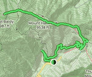 Mount Baldy via Devil's Backbone Trail: 2792 Reviews, Map - California | AllTrails