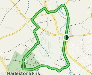 Brampton Valley and Harlestone Firs Circular: 102 fotos ...