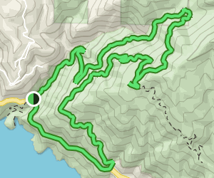 Tanbark Trail and Tin House Loop: 1056 Reviews, Map - California ...