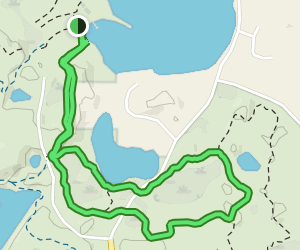 Losee Lake Middle Loop Trail: 145 Reviews, Map - Michigan | AllTrails