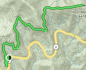 Hoyt Mountain via Grizzly Flats Trail : 537 fotos - Califórnia | AllTrails