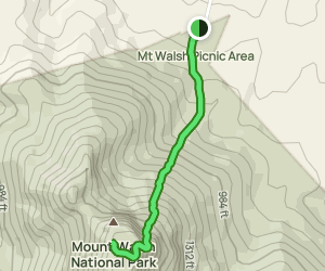Mount Walsh Walking Track: 164 Reviews, Map - Queensland, Australia ...