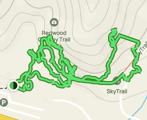 Skywalk Canopy Trail, California - 91 Reviews, Map | AllTrails