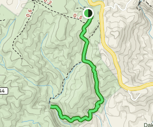 Yellow Branch Falls Trail: 2243 Reviews, Map - South Carolina | AllTrails