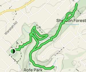 Rofe Park and Sheldon Forest Track, 290 Fotos - New South Wales ...