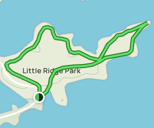 Little Ridge Trail: 580 Reviews, Map - Georgia | AllTrails