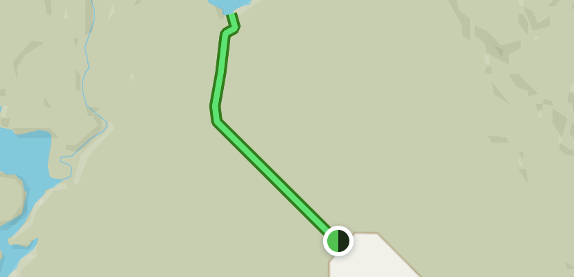 Are Dogs Allowed At Bartlett Lake